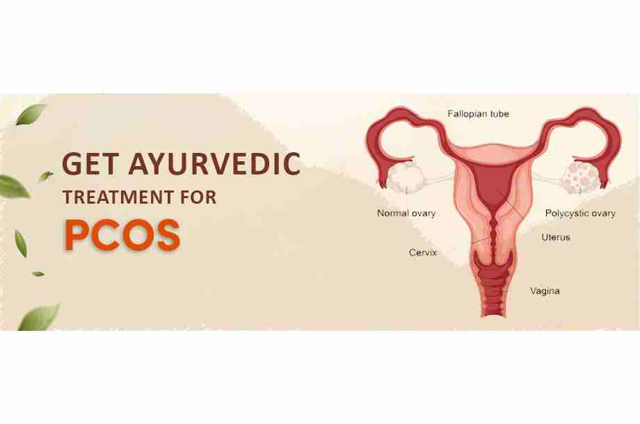 Latest Blogs At Jiva Ayurveda: Indian Home Remedies, Recipes